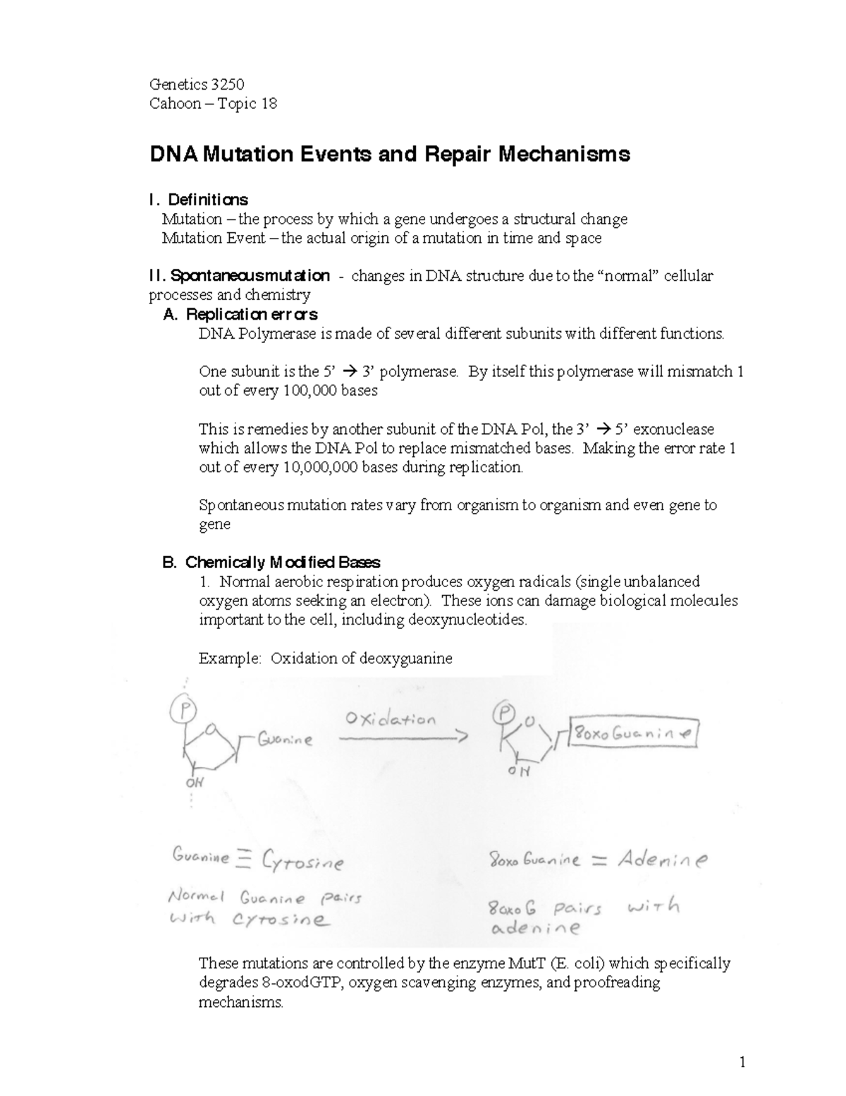 Mutation Notes - Cahoon ± Topic 18 DNA Mutation Events and Repair ...