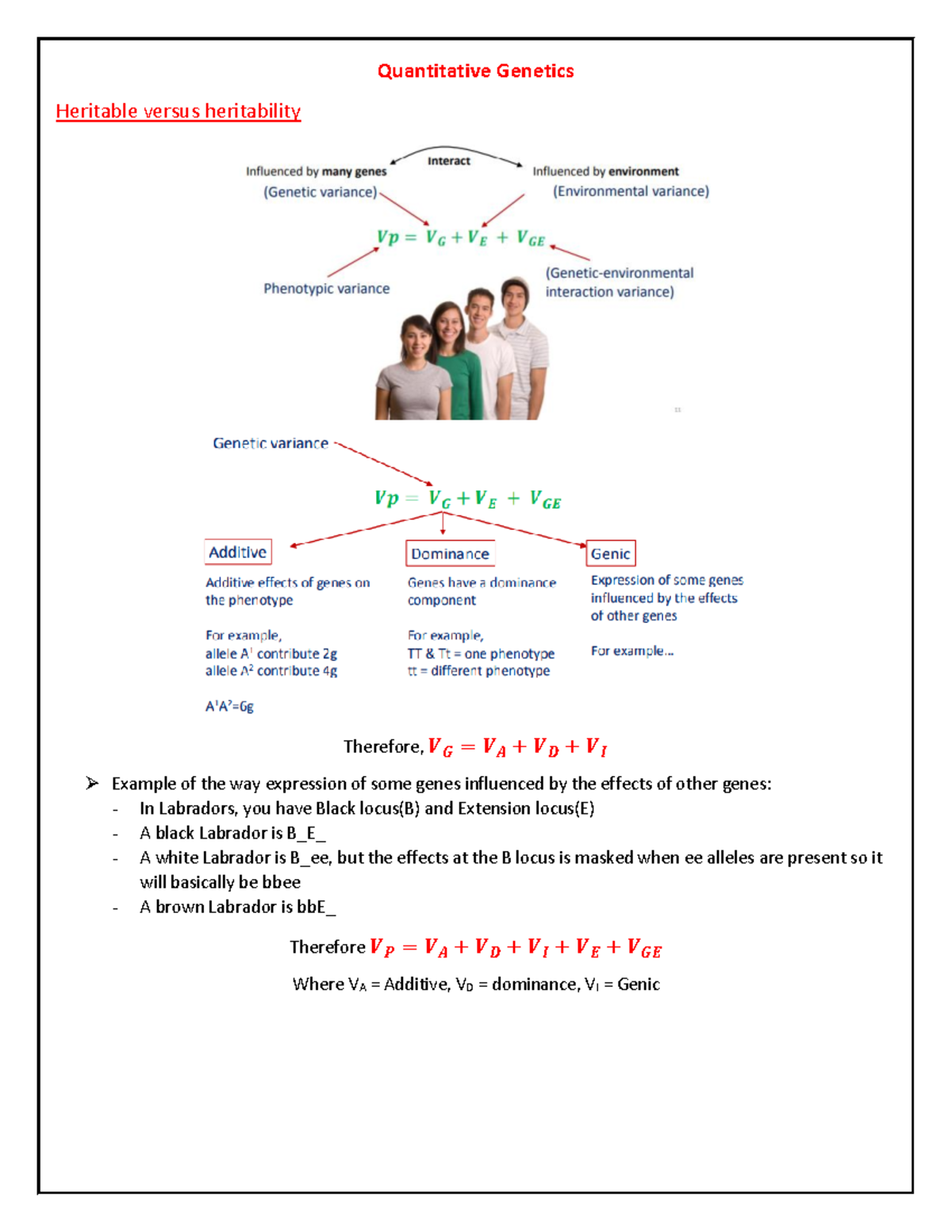 2023 Class 21 Quantitative Genetics 2 for upload - Quantitative Genetics Heritable versus - Studocu