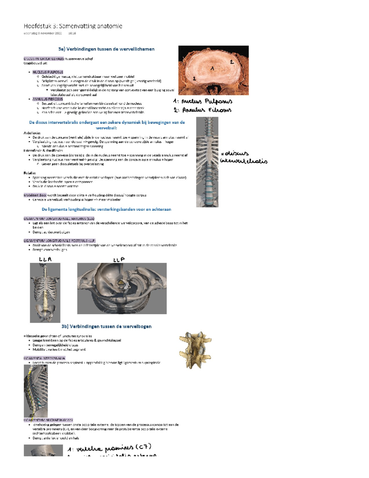Anatomie samenvatting hoofdstuk 3 (Wilhelm Mistiaen ...