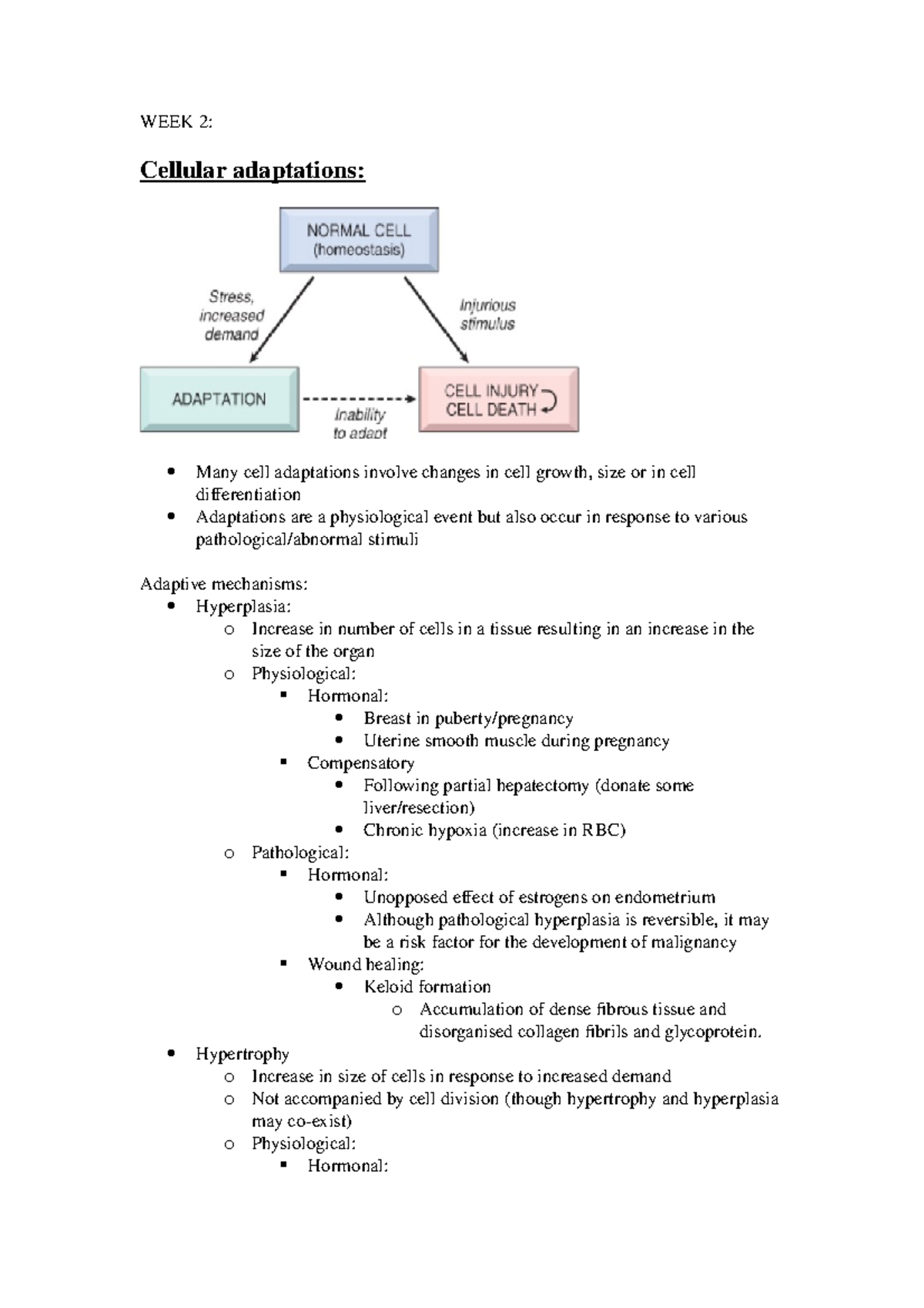 Pathology and Blood Science lectures 3 and 4 - WEEK 2: Cellular ...