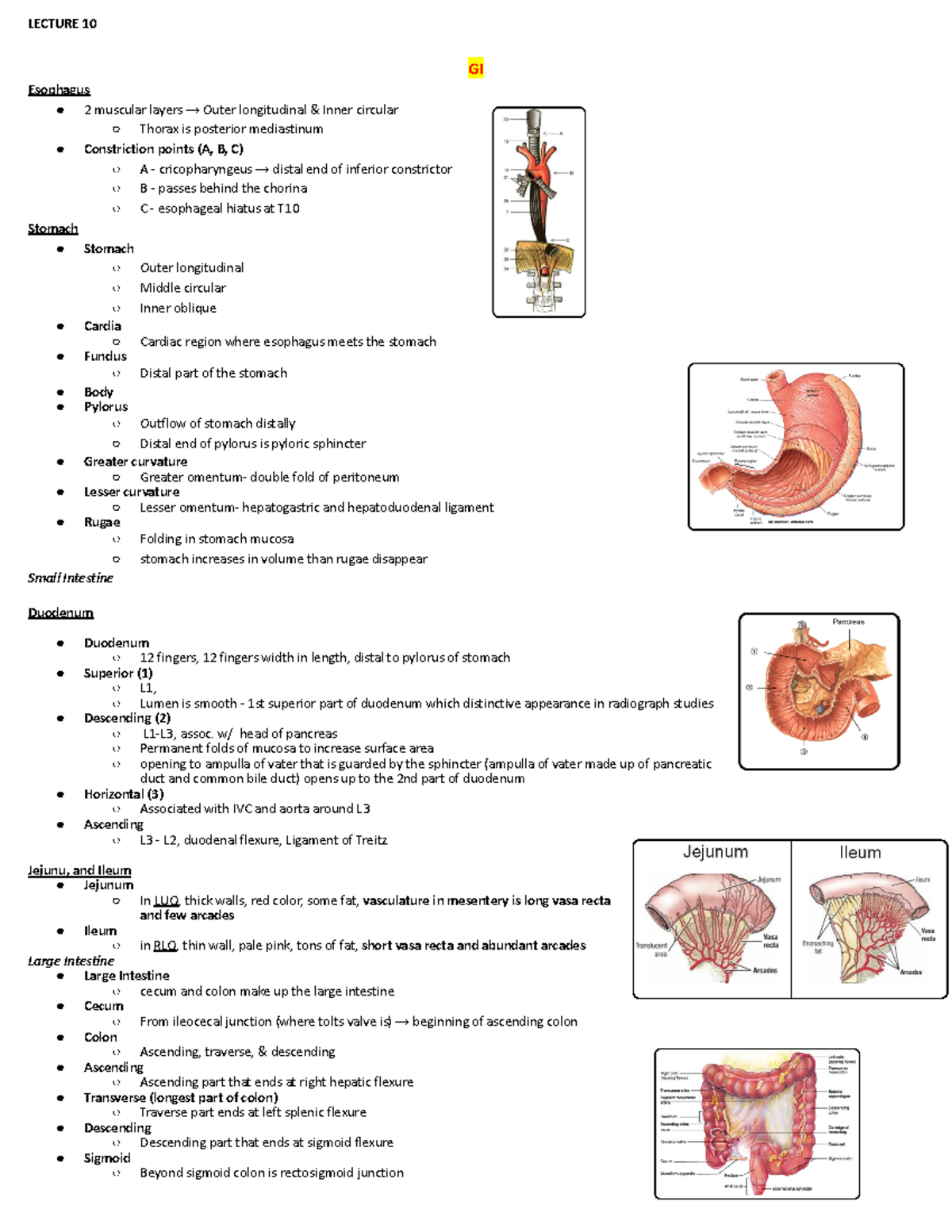 L10 GI(1).docx - mercy college chart notes for PA and nursing school ...