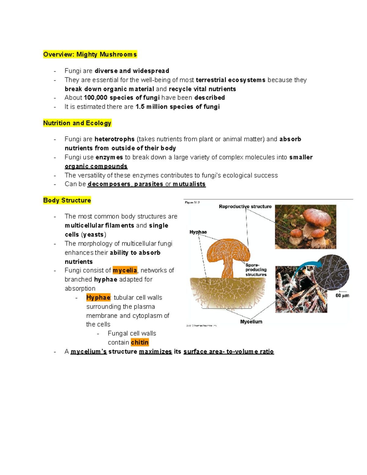 Final Lec 20 (Fungi) - Overview: Mighty Mushrooms Fungi are diverse and ...