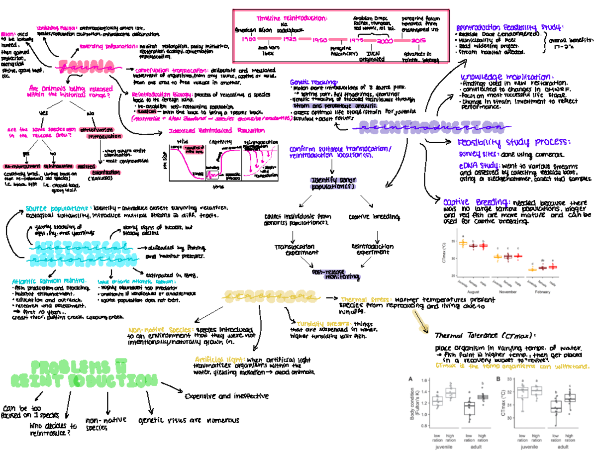Chapter 29 pt2 mindmap - 03 55 140 - Studocu