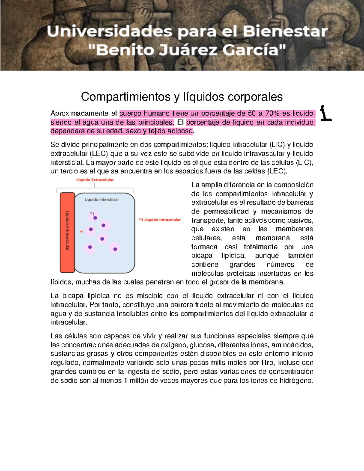 Compartimientos Y Liquidos Corporales Compartimientos Y Líquidos