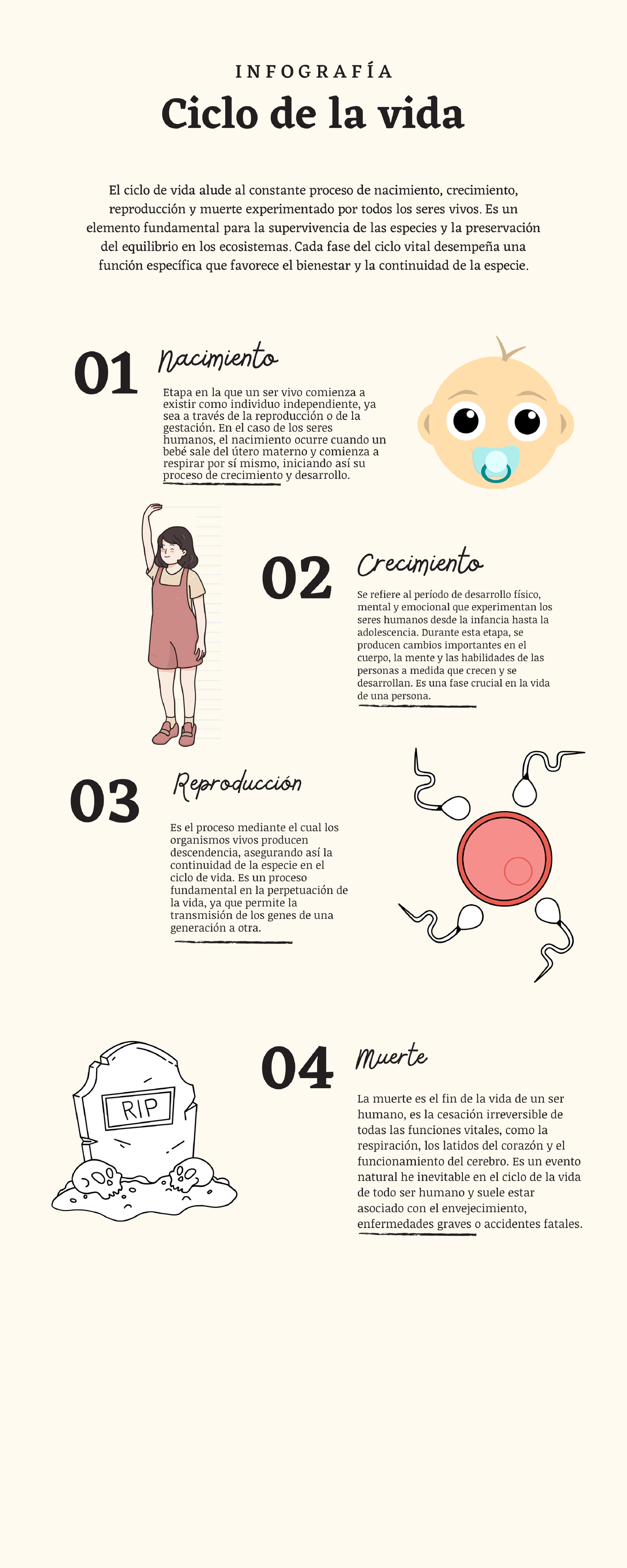 Ciclo de la vida - Biologia General - Studocu