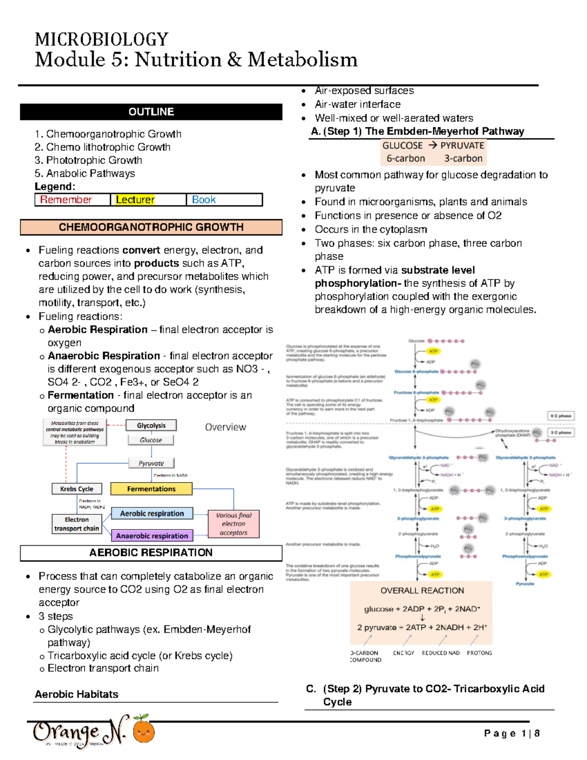 Bio425 Module 5 Nutrition & Metabolism-Notes - MICROBIOLOGY Module 5 ...
