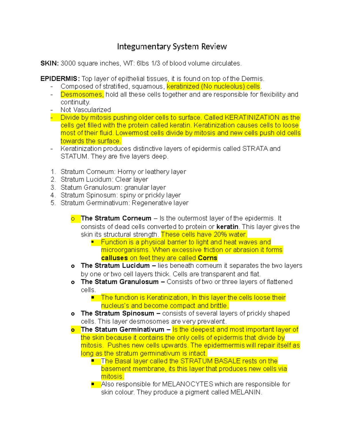 Integumentary System Review - Integumentary System Review SKIN: 3000 ...