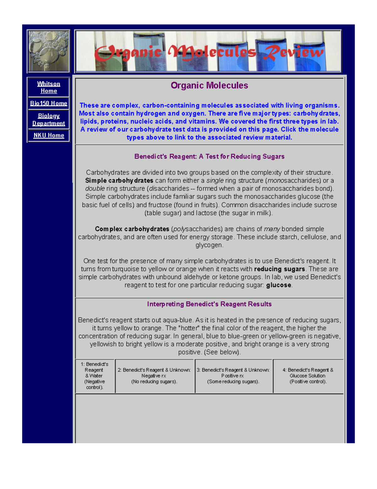 Lab-Review - BIOCHEM LAB - Whitson Home Bio150 Home Biology Department ...