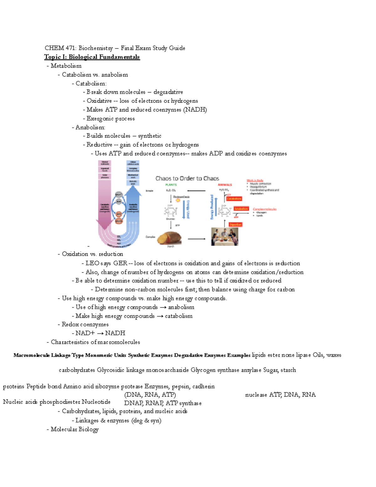 Biochemistry Notes - CHEM 471: Biochemistry - Final Exam Study Guide ...