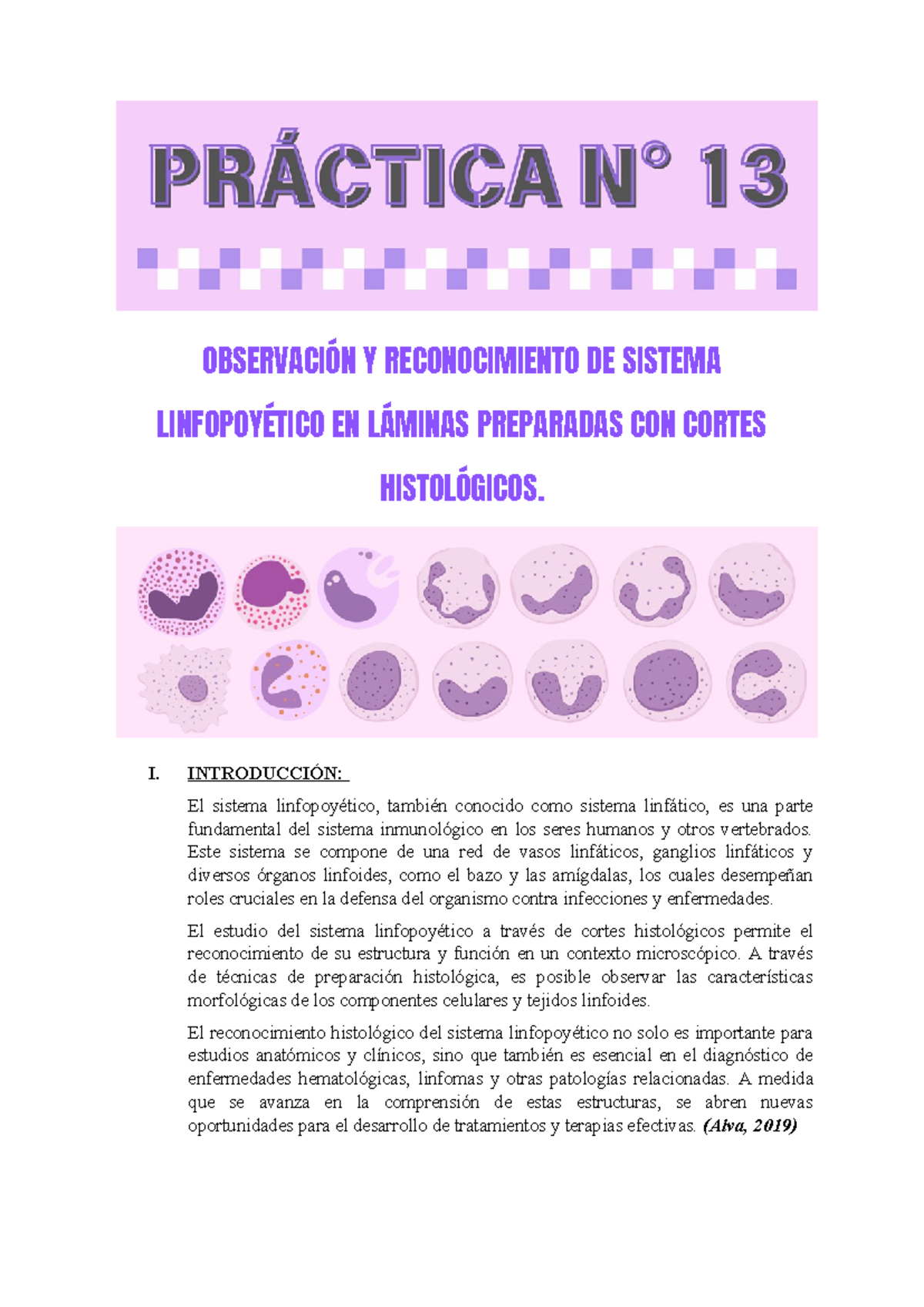 Prac 8 histo - MMMMMMMMMMMMMMMMMMM - OBSERVACIÓN Y RECONOCIMIENTO DE ...