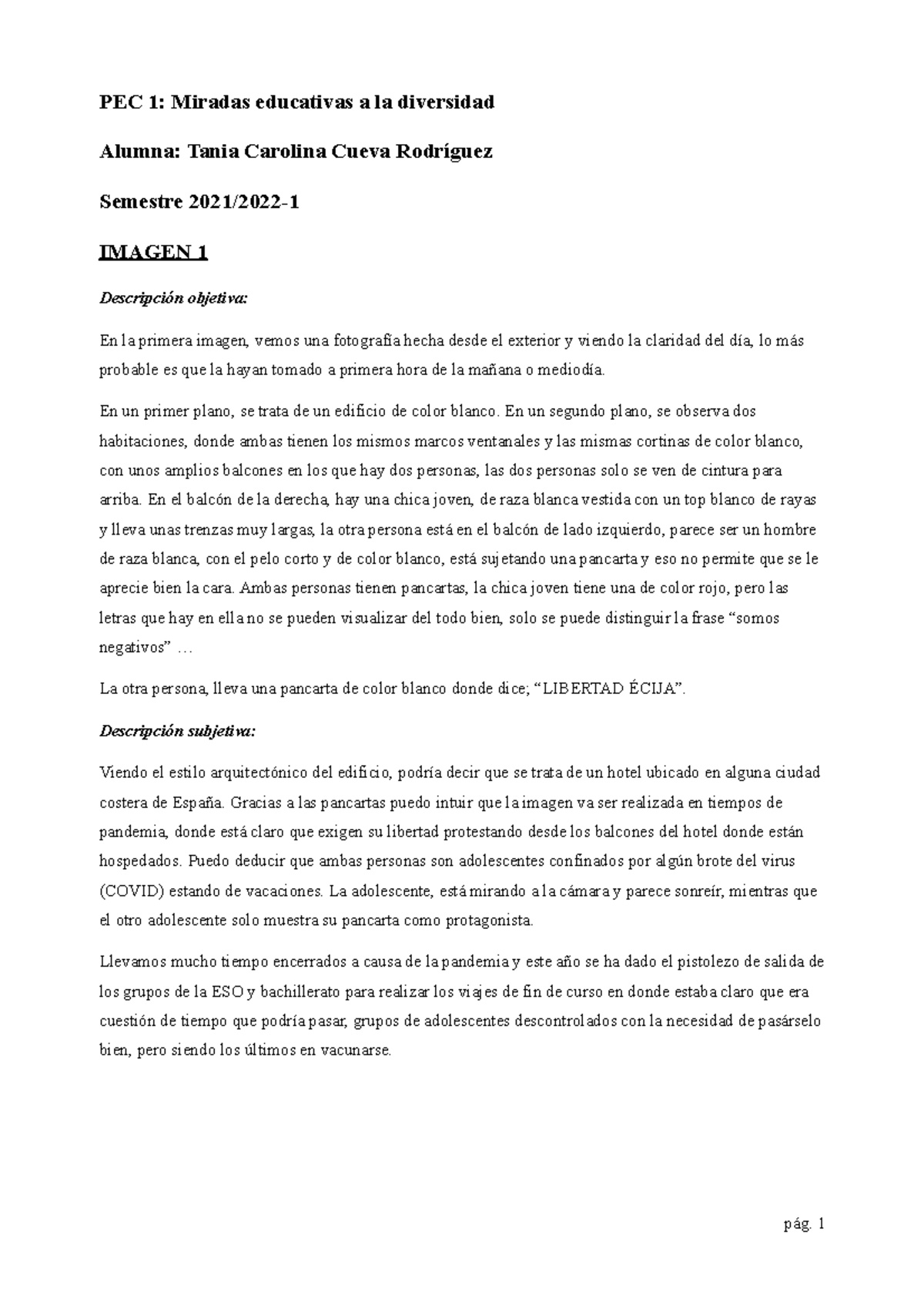 Cueva Rodríguez Tania PEC 1 - PEC 1: Miradas educativas a la diversidad Alumna: Tania Carolina ...