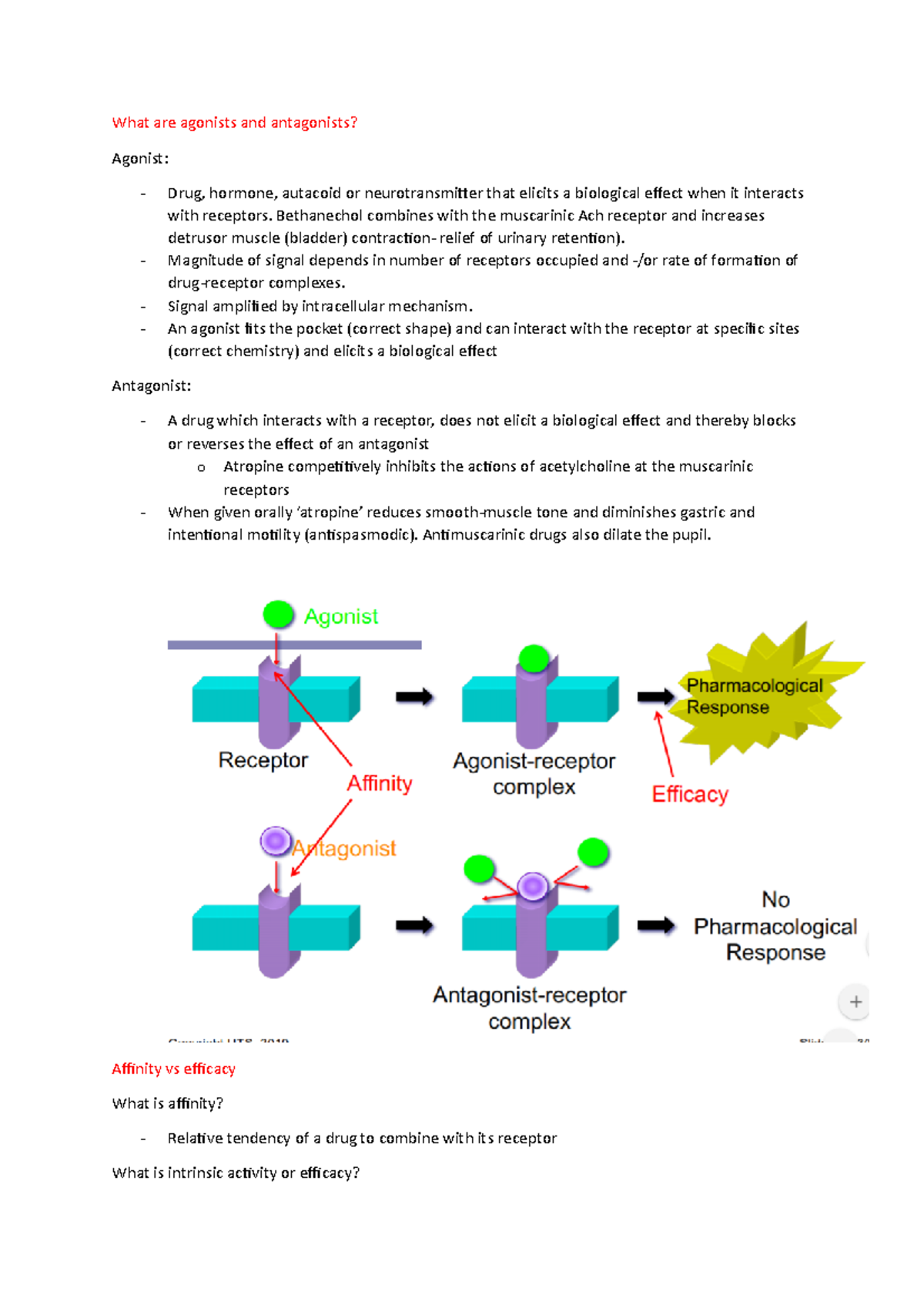 Agonists, Antagonists and drug toxicity - What are agonists and ...
