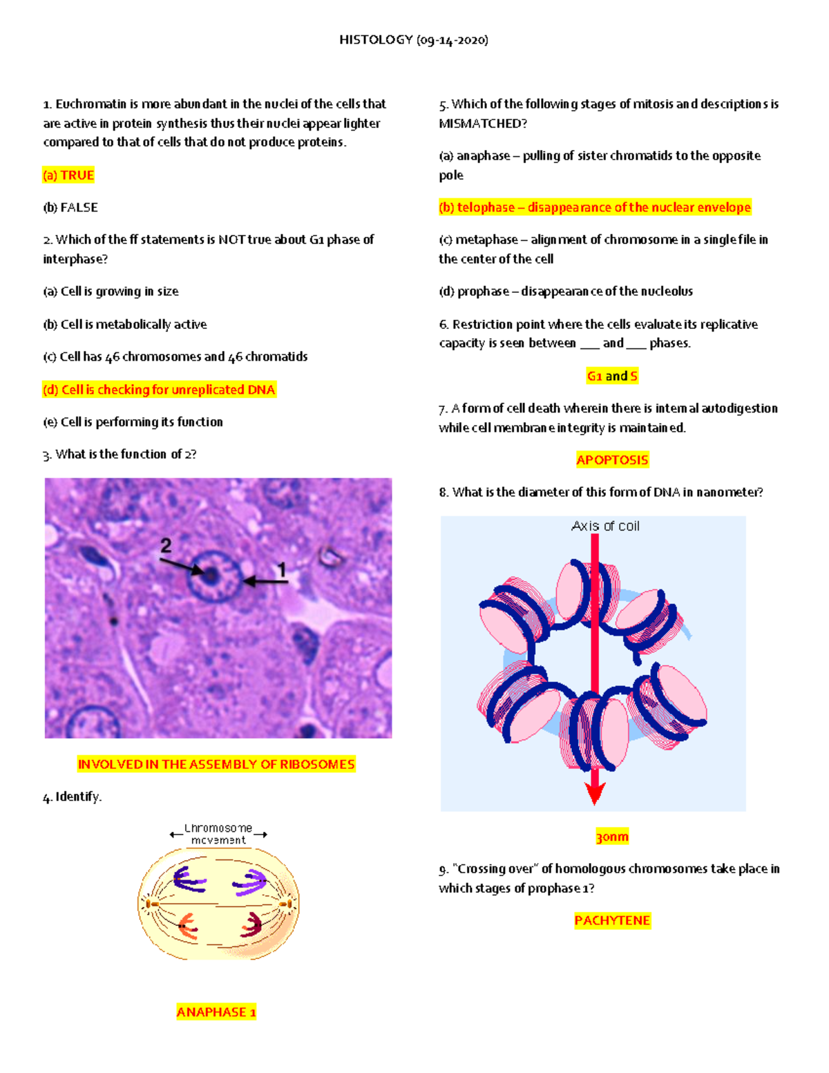 Histology- Mitosis And Meiosis - HISTOLOGY (09- 14 -2020) Euchromatin ...