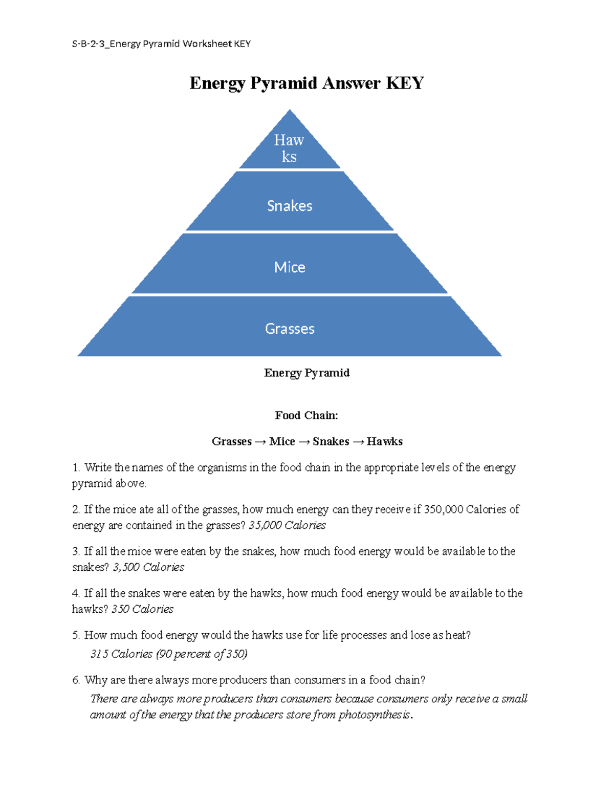 S-B-2-3 Energy Pyramid Worksheet KEY - S-B-2-3_Energy Pyramid Worksheet ...