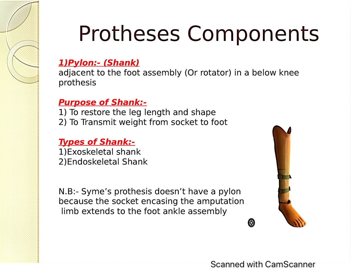 Prothesis - Orthopedic surgery - Studocu