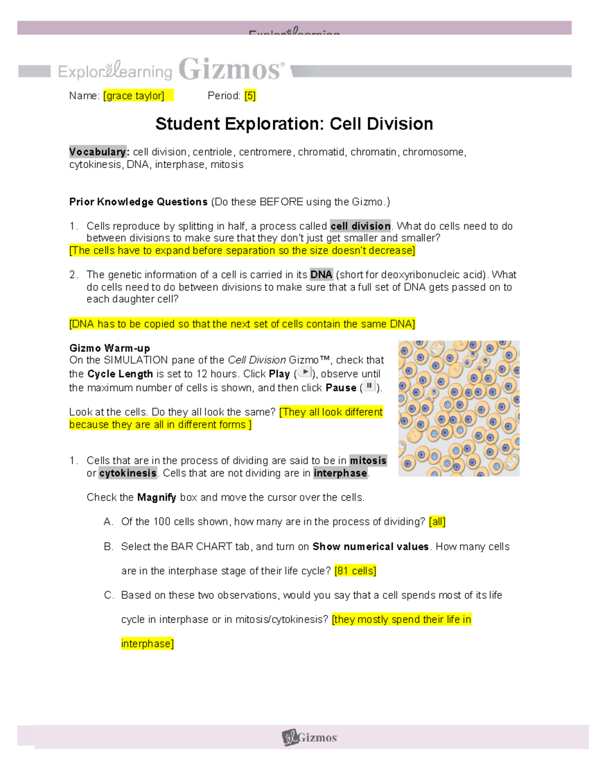 Cell Division Gizmo -with Honors Extension - Name: [grace taylor ...