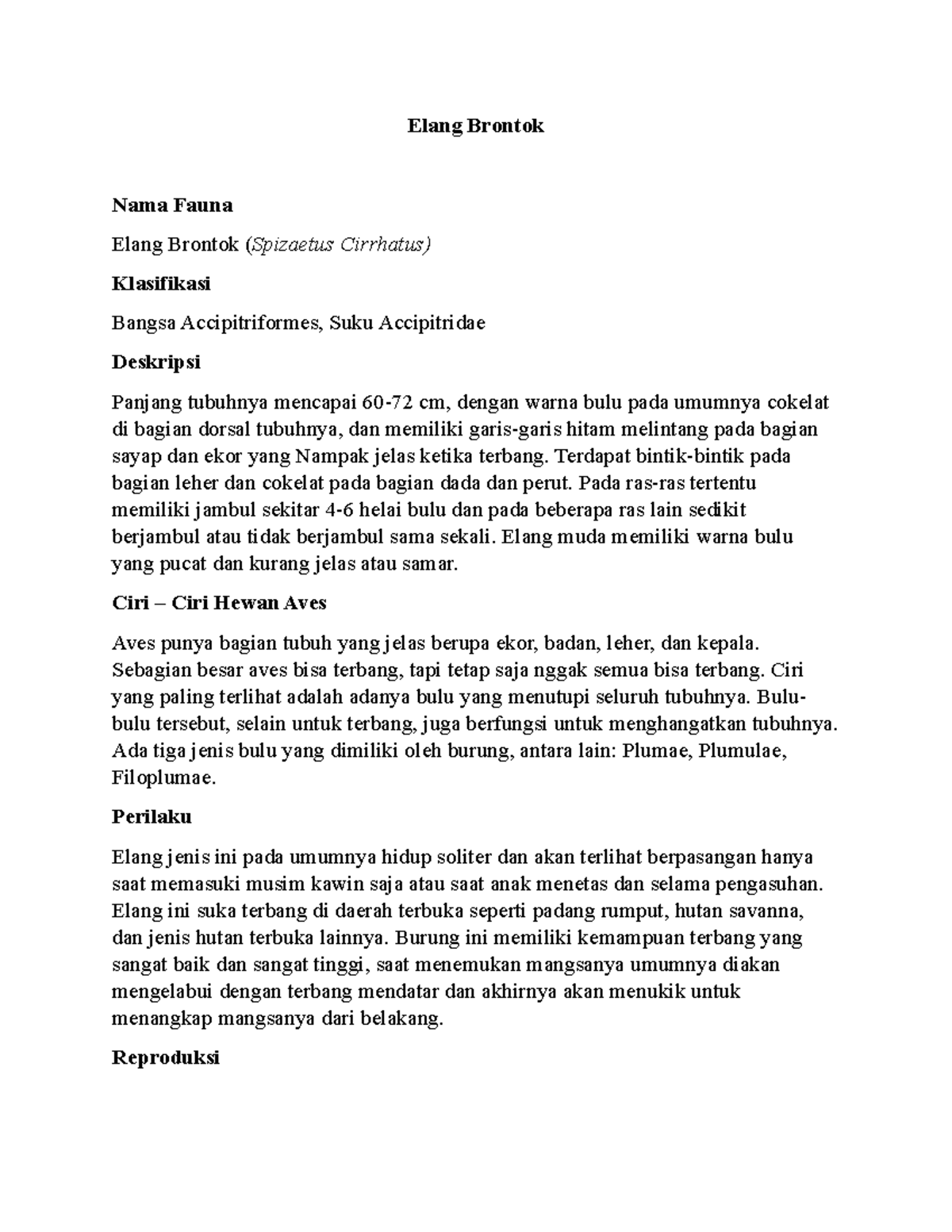 Mengenal Elang Brontok - Elang Brontok Nama Fauna Elang Brontok ...