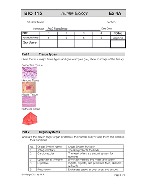 BIO 115 Exercise 6A Summer 2021 Blood Cells - BIO 115 Human Biology Ex ...