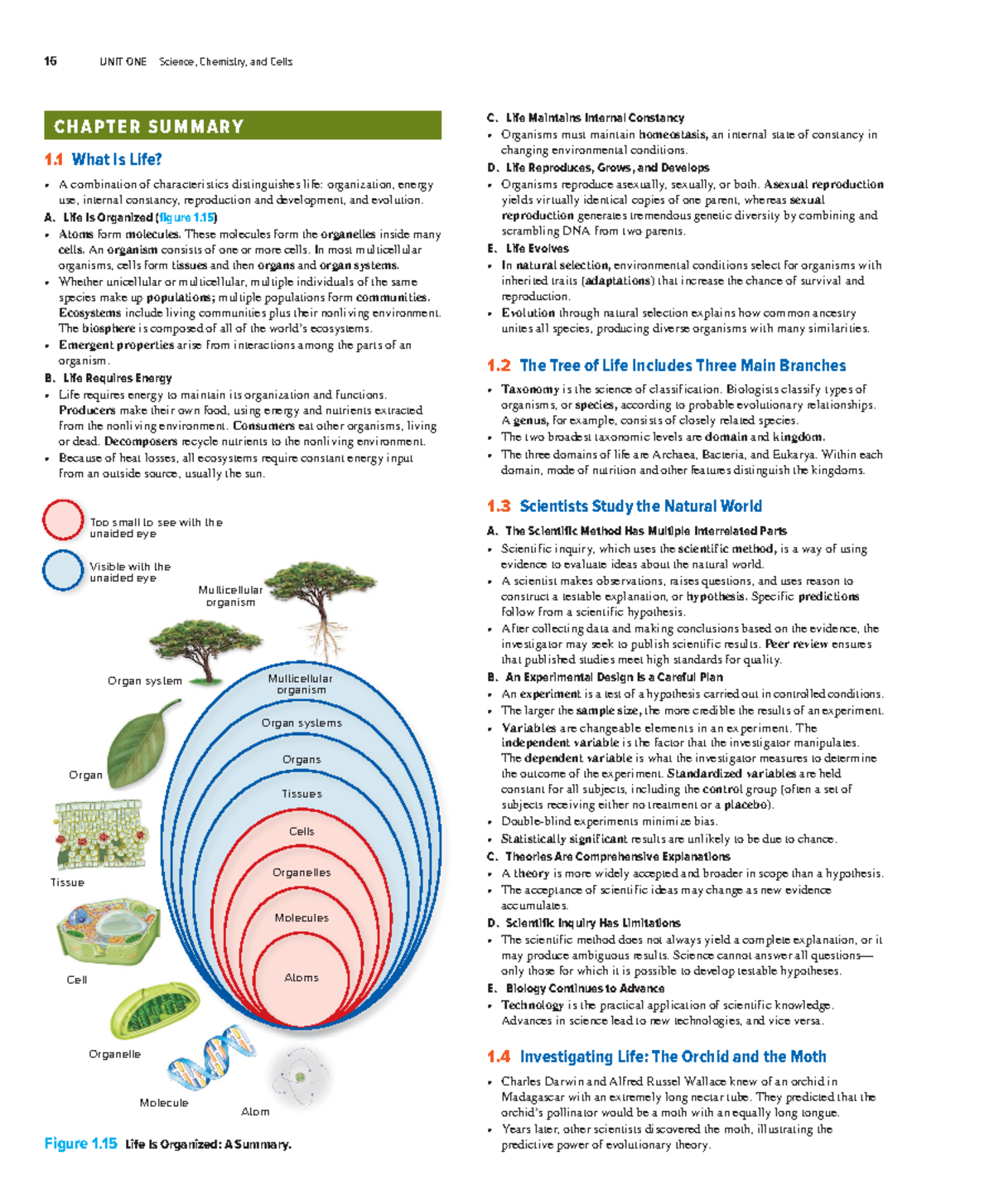 Biology Concepts and Investigations, Chapter One Review - Atoms Atom ...