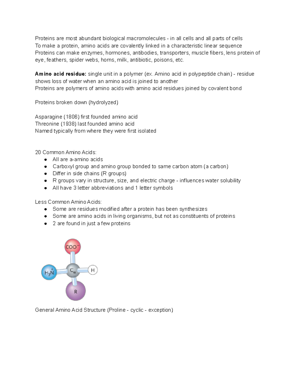 Chapter 3 - Proteins and Amino Acids - Proteins are most abundant ...