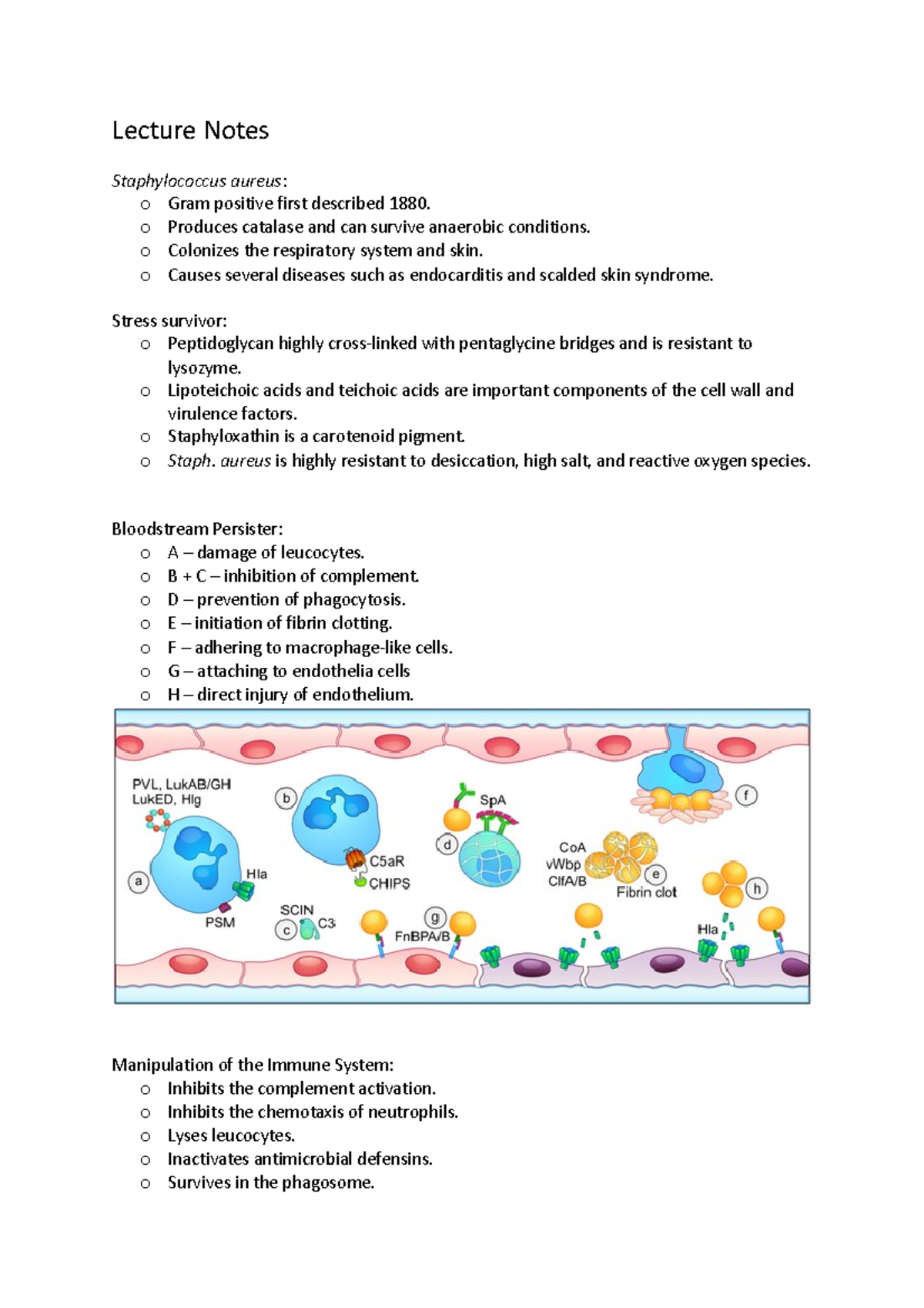Lecture 4 - Staphylococcus Aureus and MRSA - Lecture Notes ...