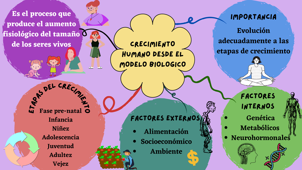 Crecimiento Humano Desde EL Modelo Biologico - CRECIMIENTO HUMANO DESDE ...
