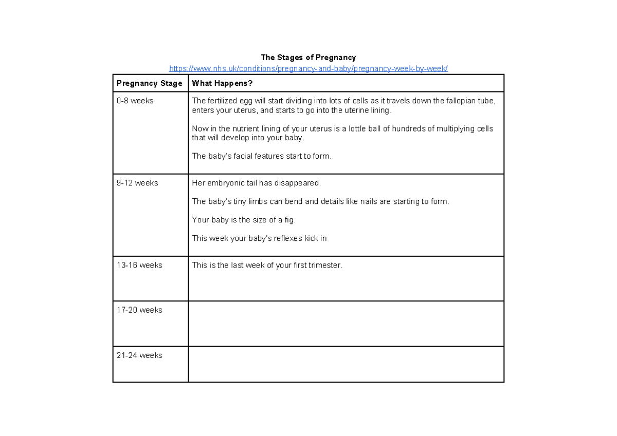 Lesson 3 Stages of Pregnancy Worksheet - The Stages of Pregnancy - Studocu