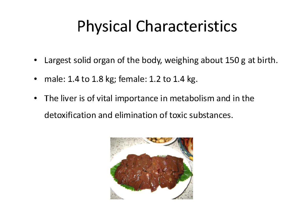 6 th lec. liver function and disease (1) (1) - Physical Characteristics ...