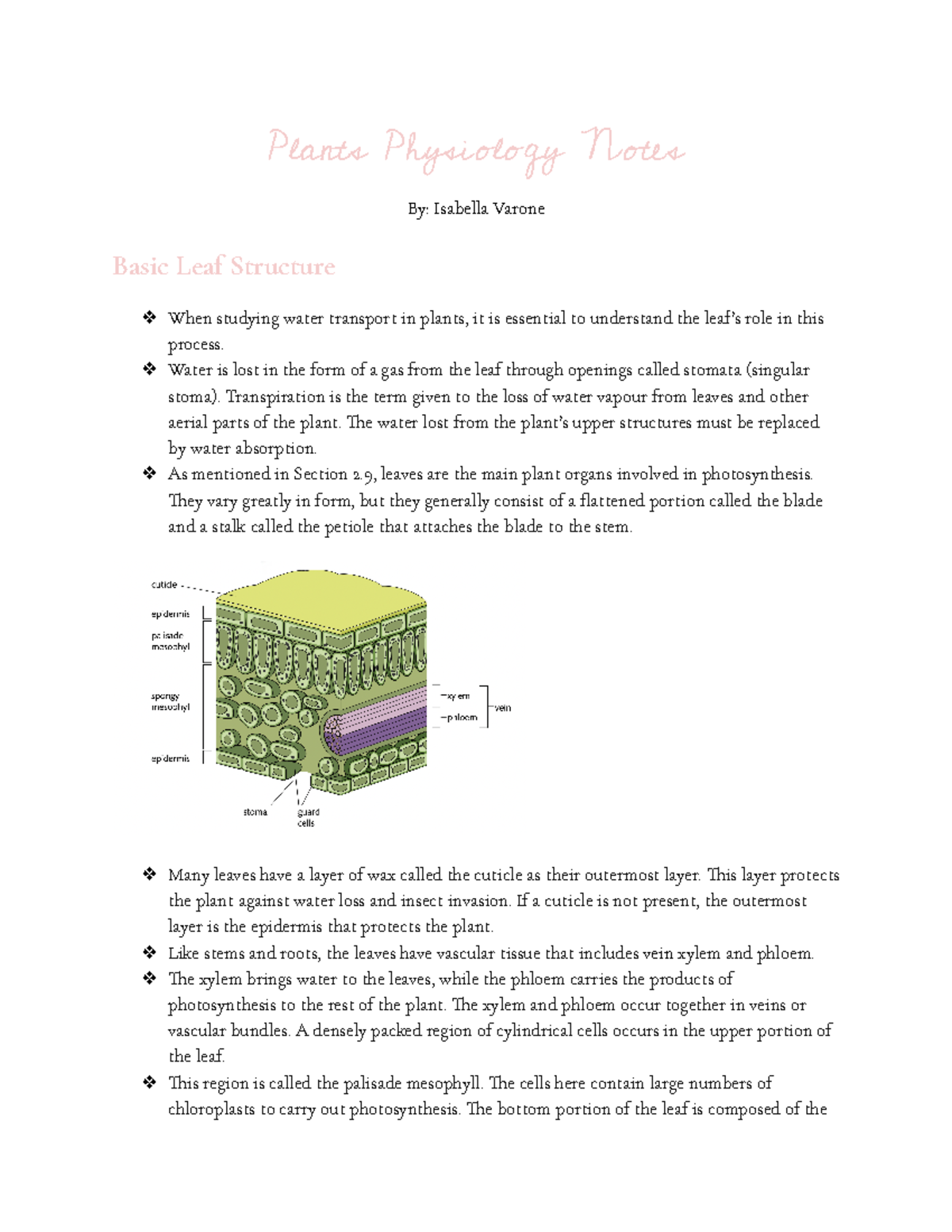 Plant Note - Isabella Varone-2 - Plants Physiology Notes By: Isabella ...