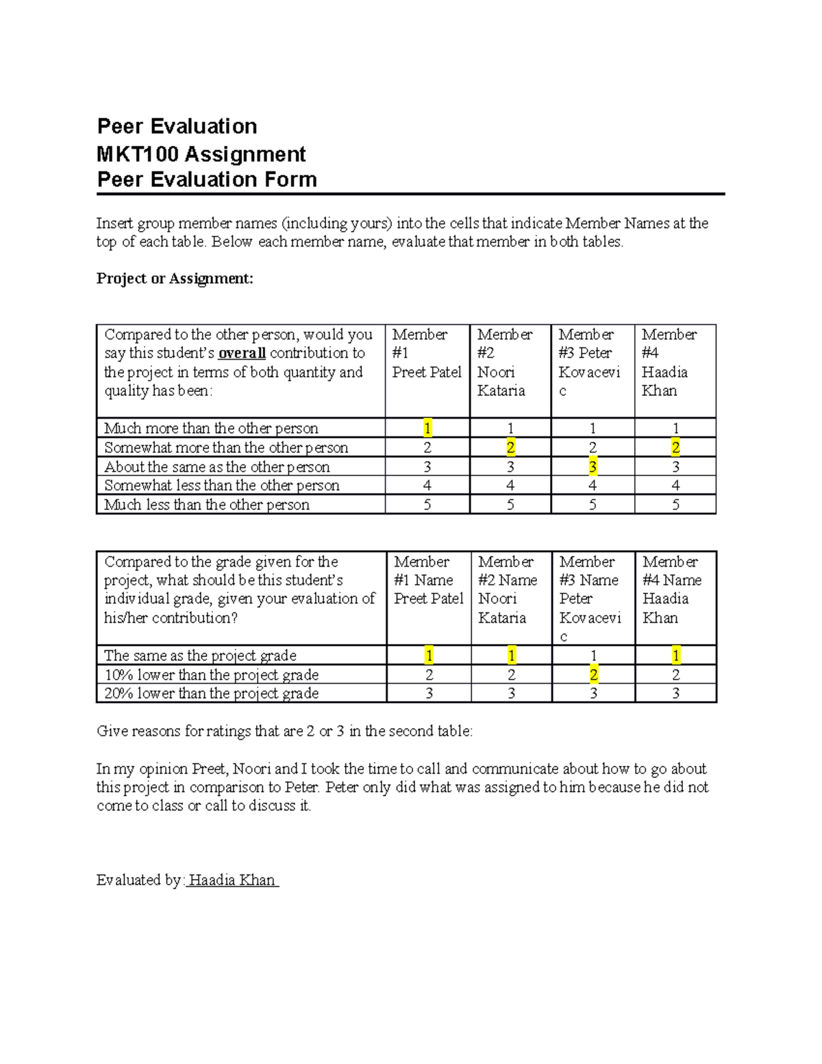 Peer Evaluation Template - Peer Evaluation MKT100 Assignment Peer ...