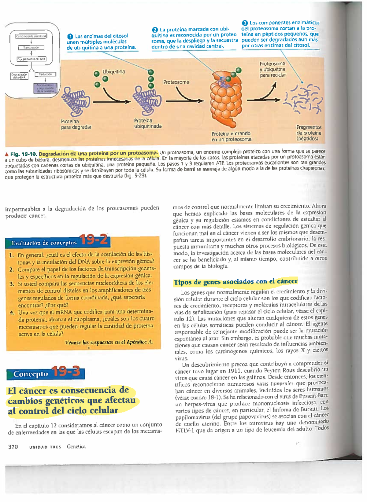 Lectura 3 sem14 - Procesos Biológicos - Studocu
