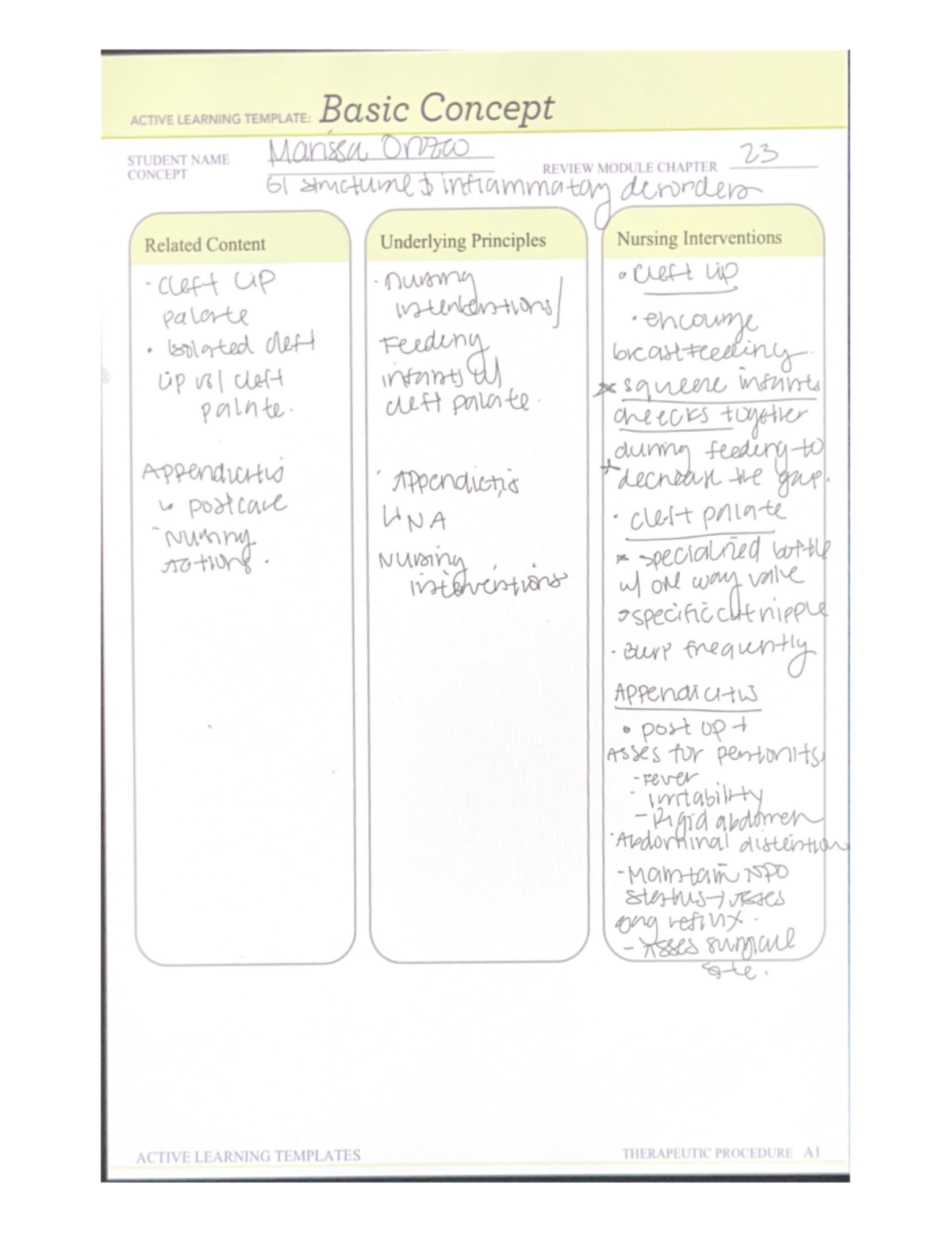 BASIC CONCEPT CONCEPTION TEMPLATE - 101 - Studocu