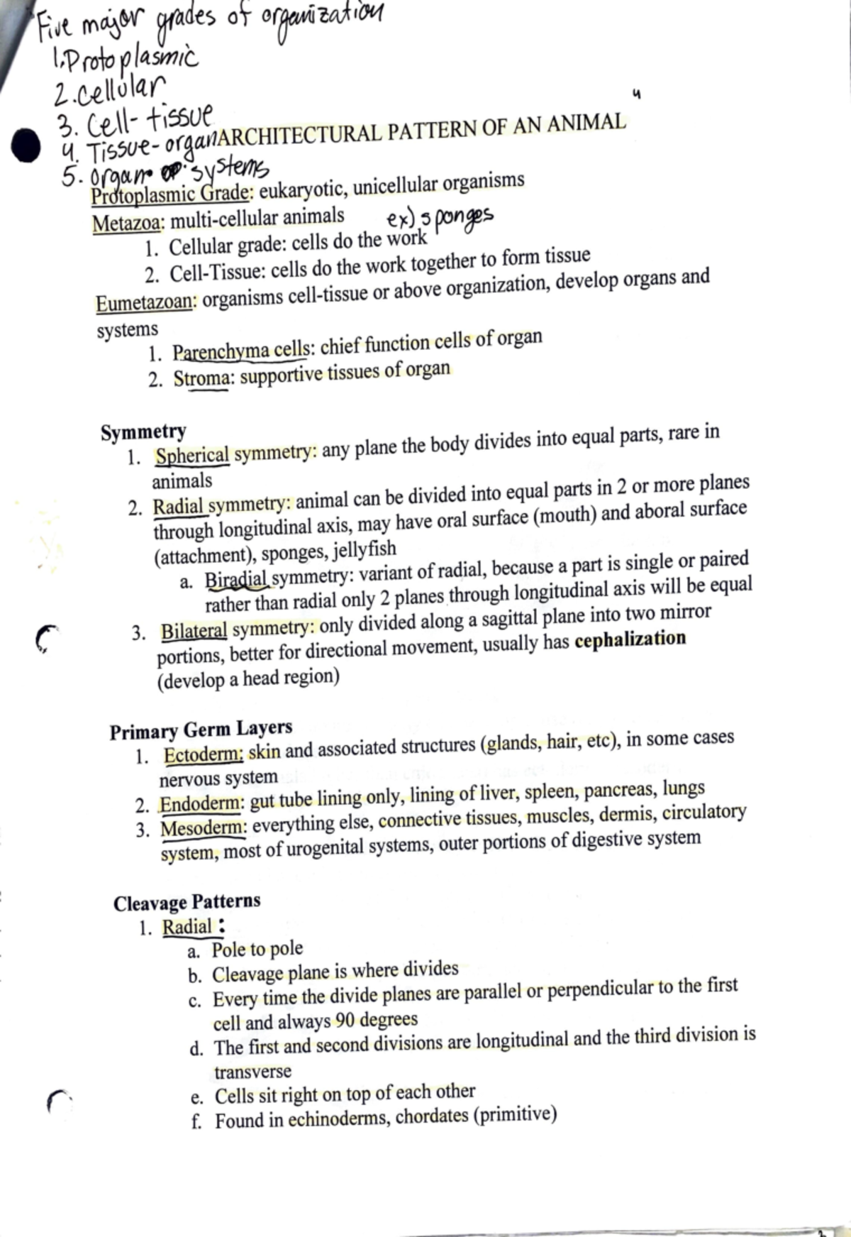 Zoology BIOL-1413 Architectural Pattern of an Animal - f fJt fr~'f rdes ...