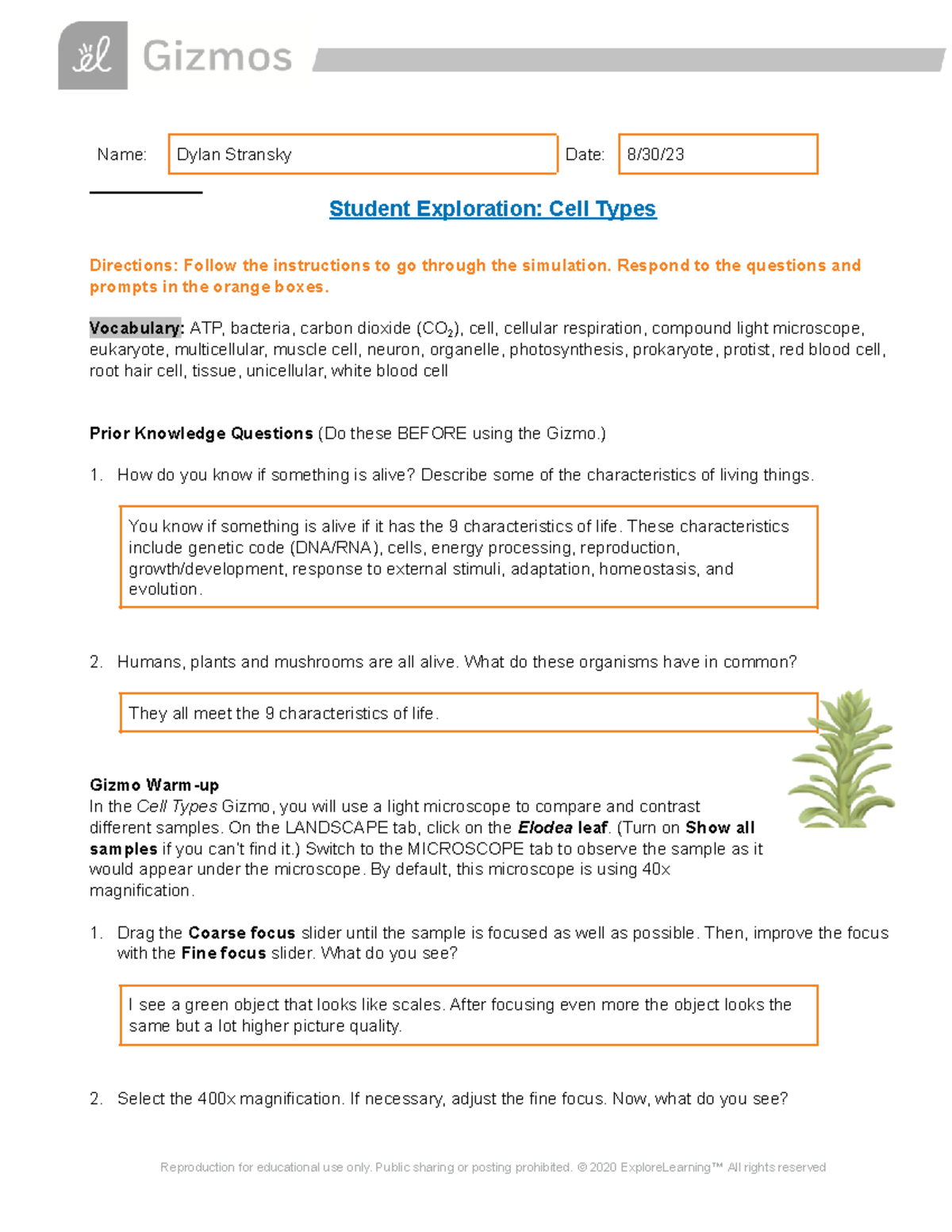 Gizmo Cell Types and characteristics - 14097126 - Name: Dylan Stransky ...