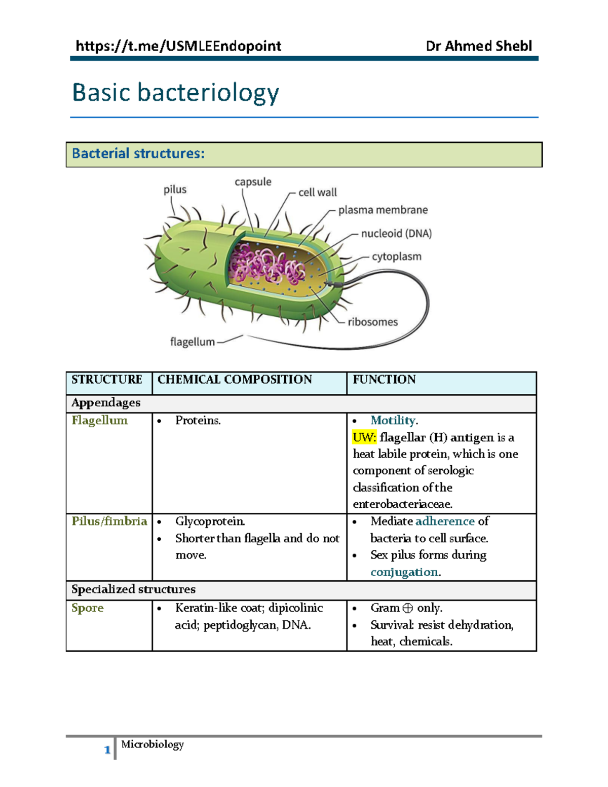 Microbiology - Genetics - Basic bacteriology Bacterial structures ...