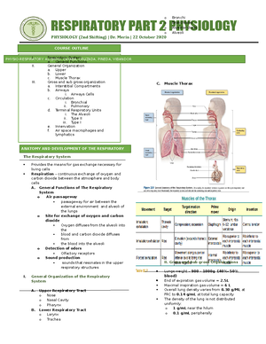 Thyroid Physiology Outline - ENDOCRINOLOGY 2 SYNTHESIS AND SECRETION OF ...