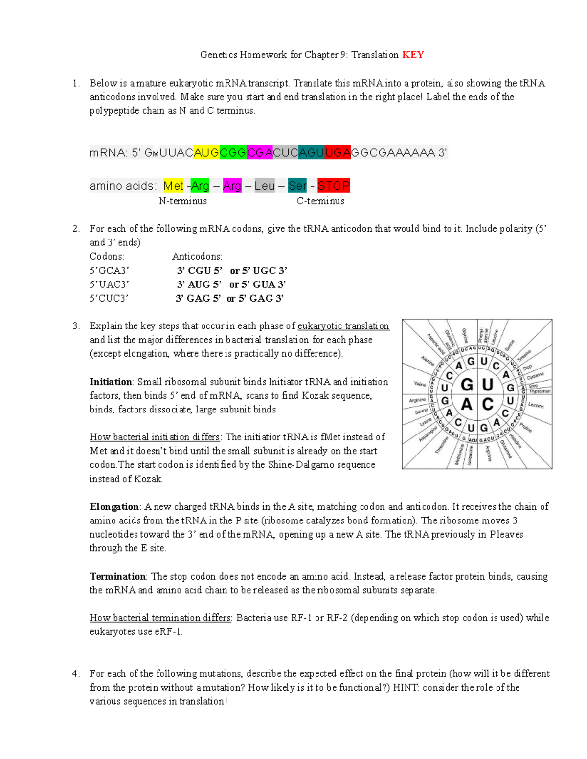 Genetics HW KEY for Ch 9 Summer 2022 - Genetics Homework for Chapter 9: Translation KEY Below is ...