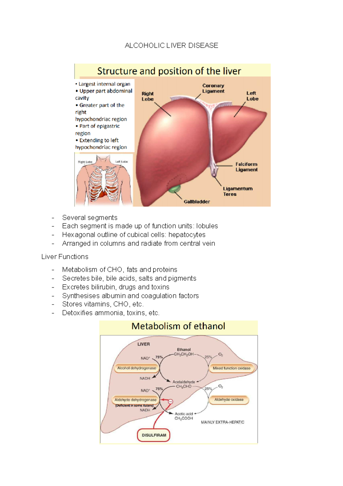 Alcoholic Liver Disease - ALCOHOLIC LIVER DISEASE Several segments Each ...