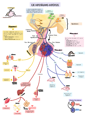 Criterios diagnóstico ADA - American Diabetes Association 2020 Resumen ...