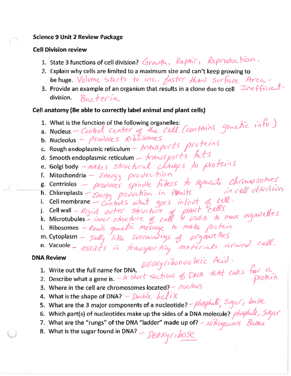 Review PACK Chapter 2 KEY - Science 9 Unit 2 Review Package Cell ...