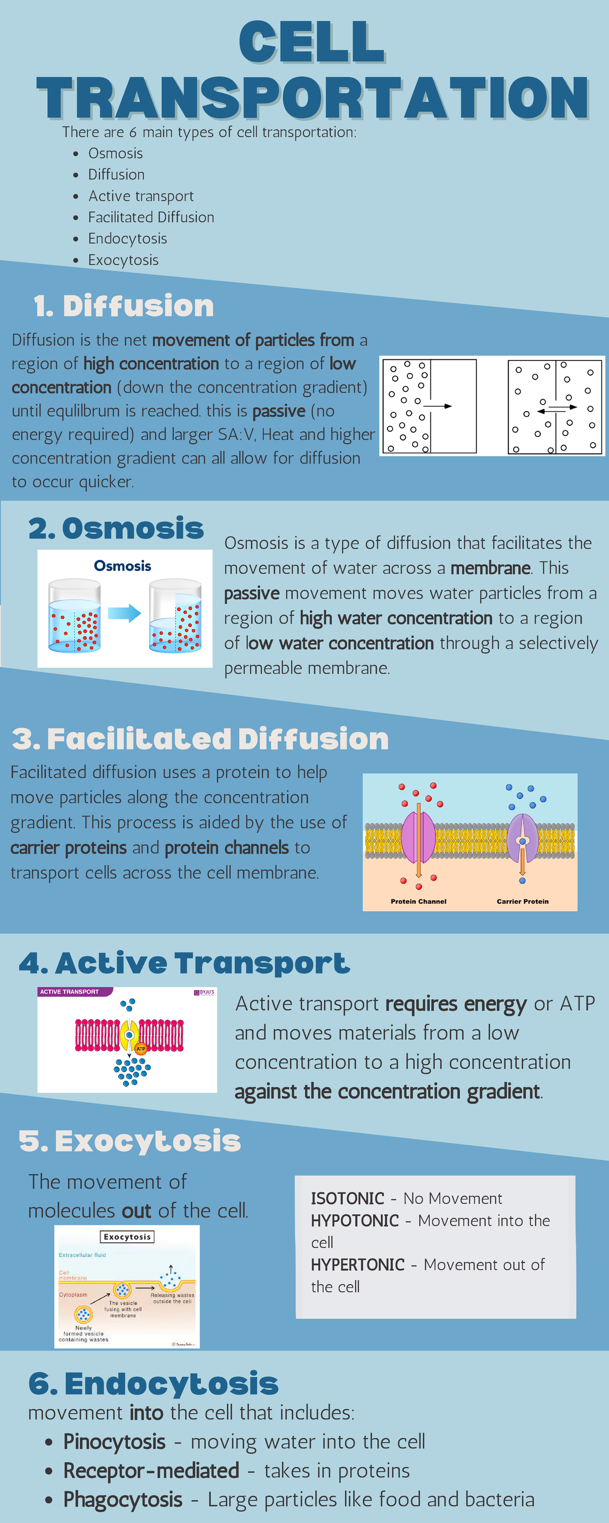Cell Transportation - 1. Diffusion CELL CELL TRANSPORTATION ...