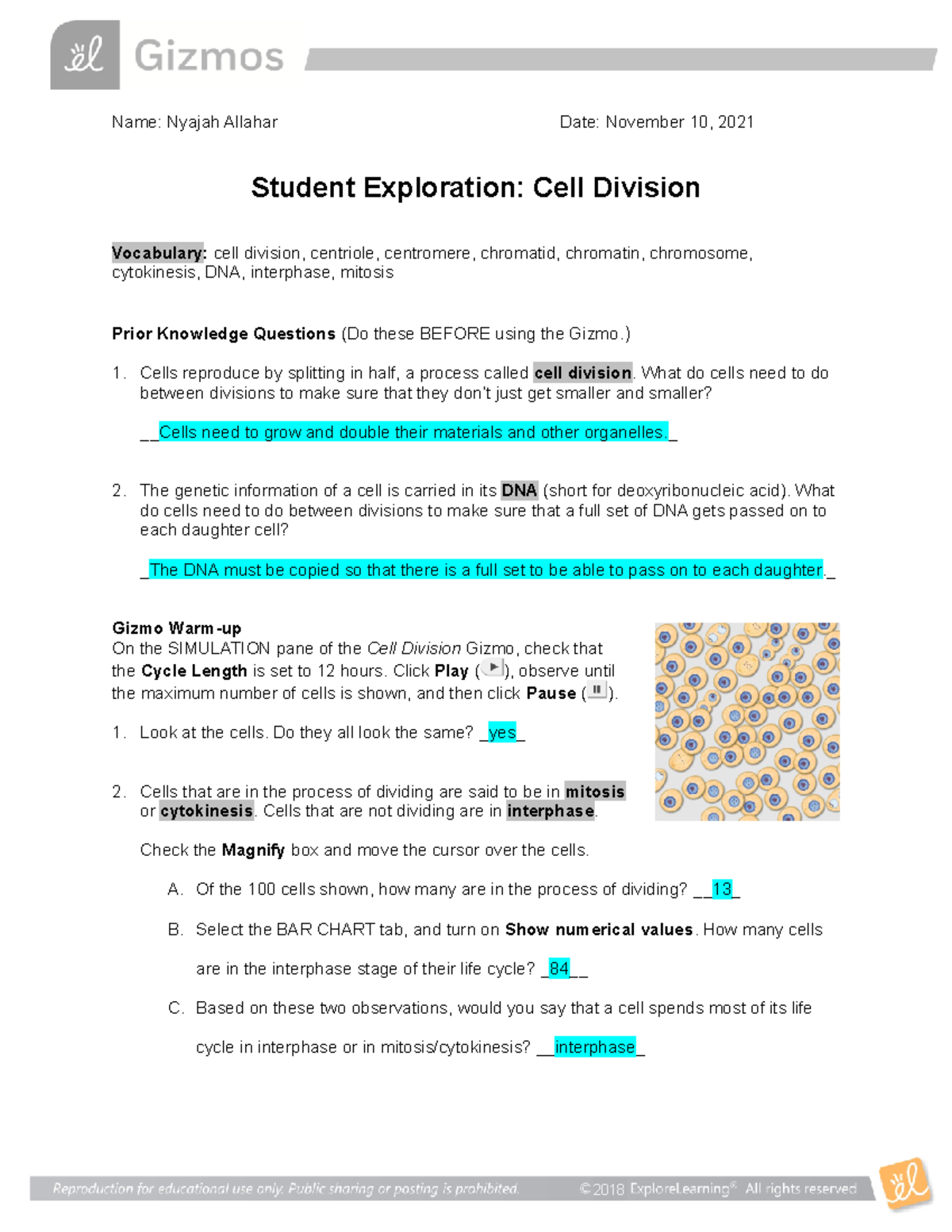 Cell Division student exploration worksheet - Name: Nyajah Allahar Date ...