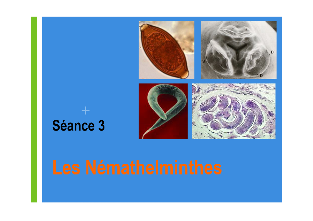 Nemathelminthes Characteristics