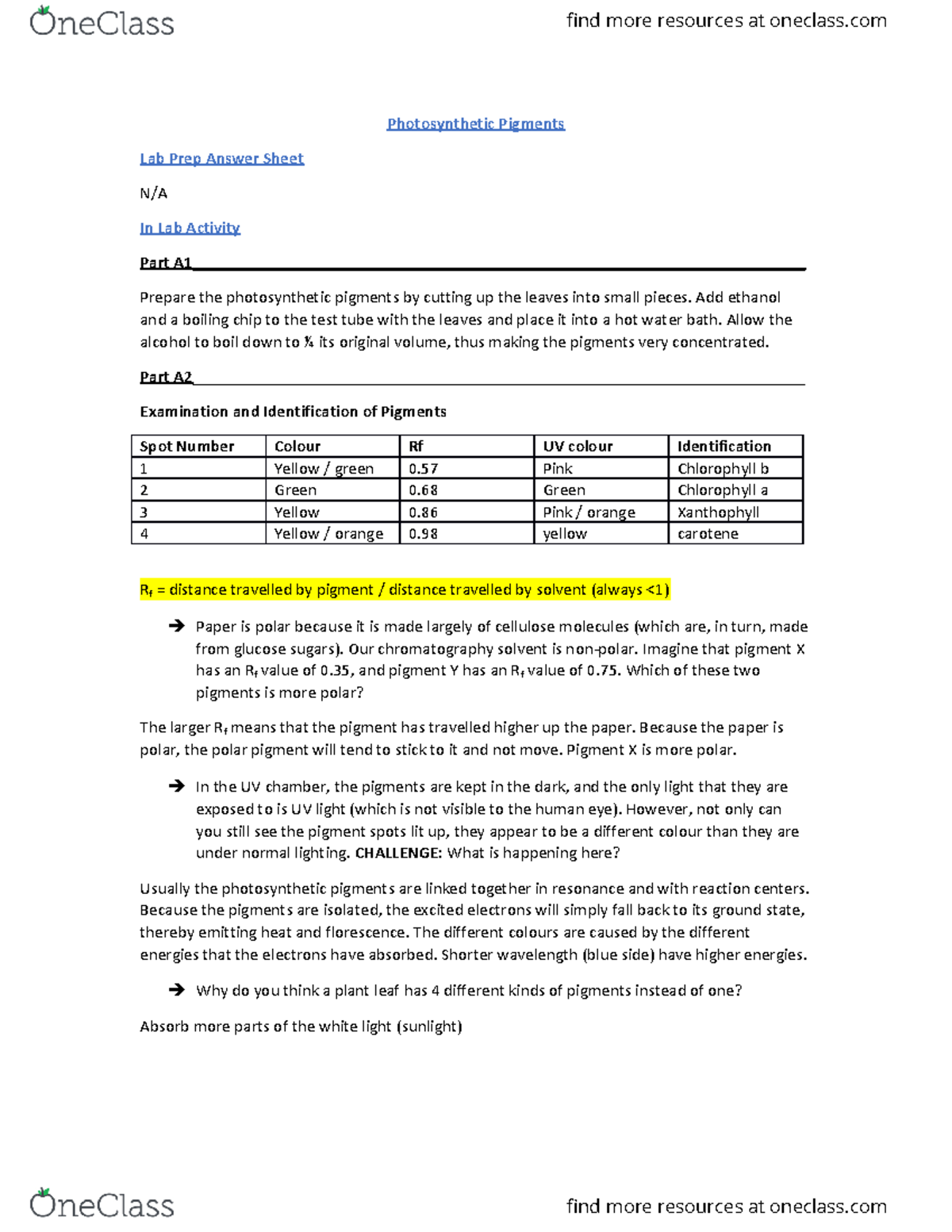 BISC 101 photosynthesis - Photosynthetic Pigments Lab Prep Answer Sheet ...