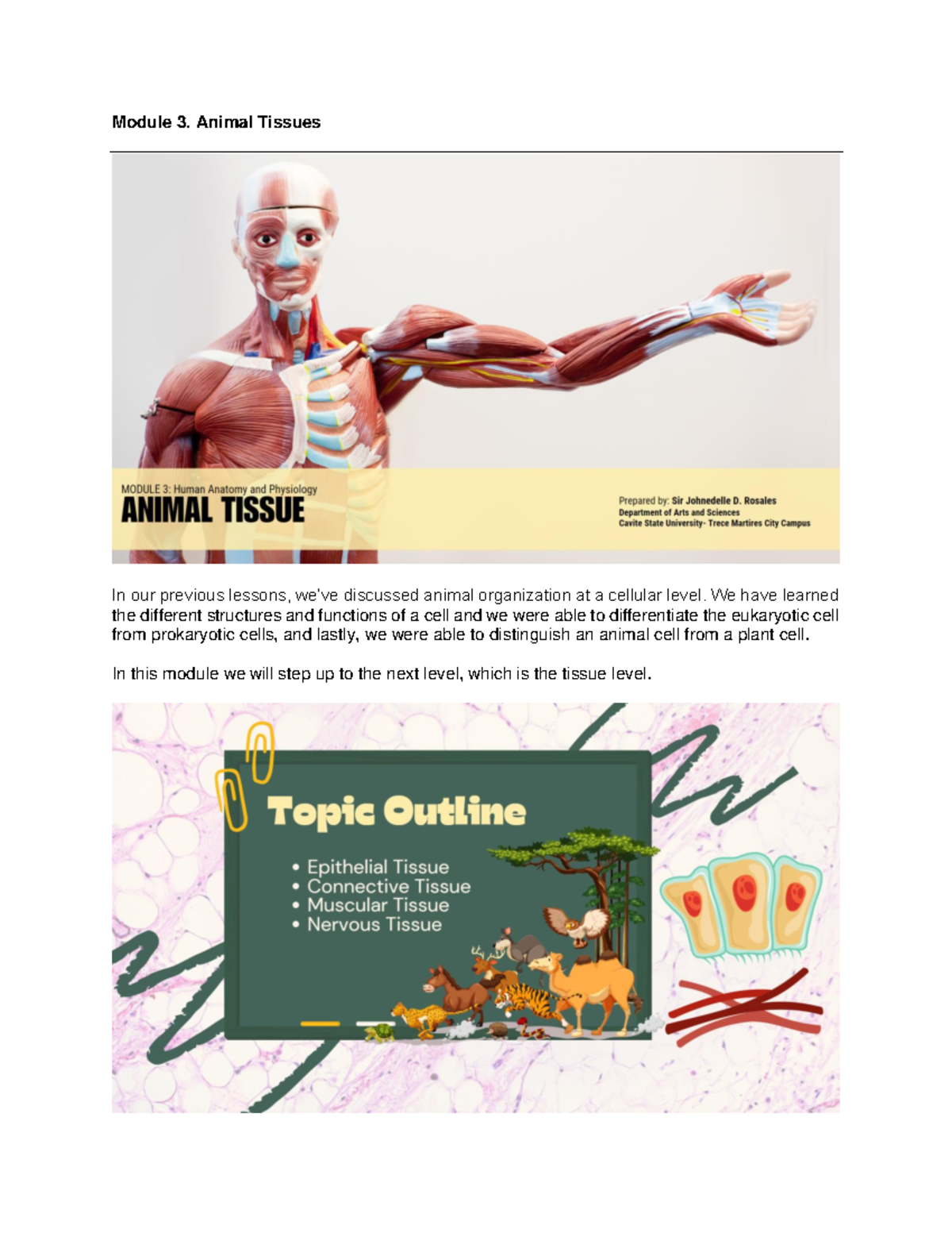 Module-3.-Human Anatomy Animal tissue - Module 3. Animal Tissues In our ...