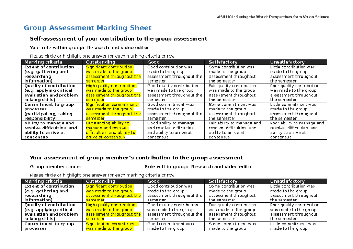 Group assignment evaluation - Group Assessment Marking Sheet Self ...