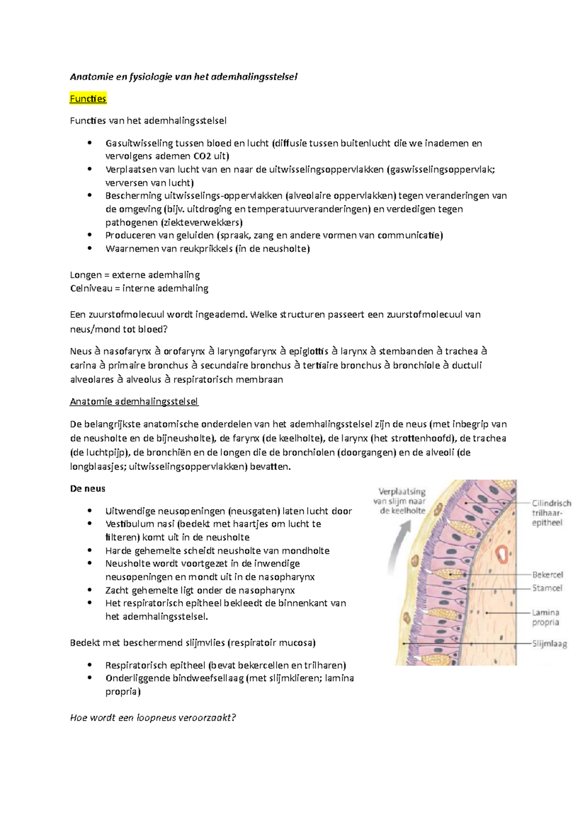 KTF 2 AFP - uitwerking toetsmatrijs AFP periode 2 - Anatomie en fysiologie van het - Studeersnel
