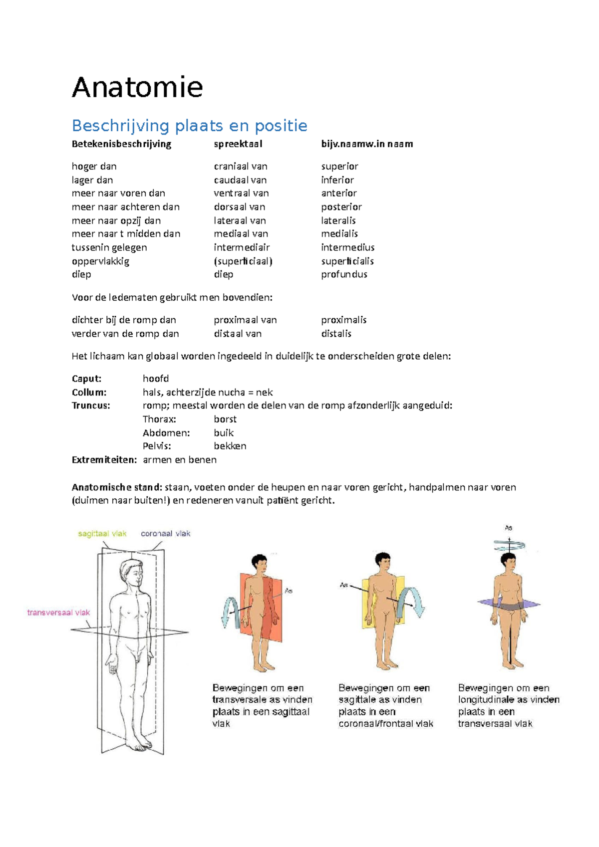 Samenvatting Anatomie - Anatomie Beschrijving plaats en positie ...