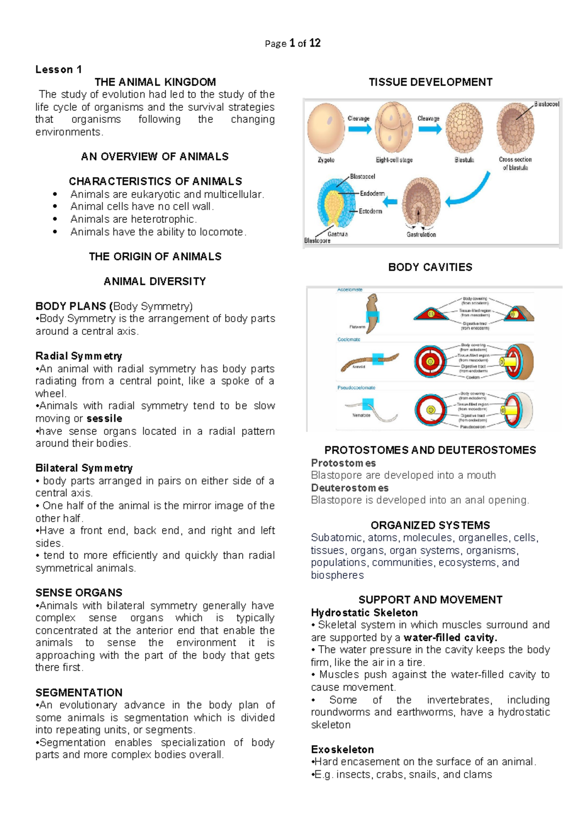 Lesson 1 animal kingdom-4 notes - Lesson 1 THE ANIMAL KINGDOM The study ...