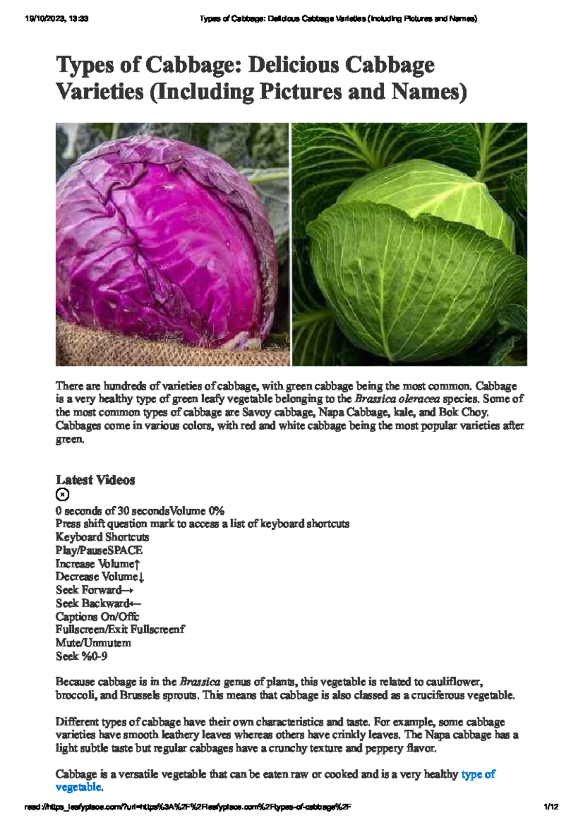 Types of Cabbage Delicious Cabbage Varieties (Including Pictures and ...